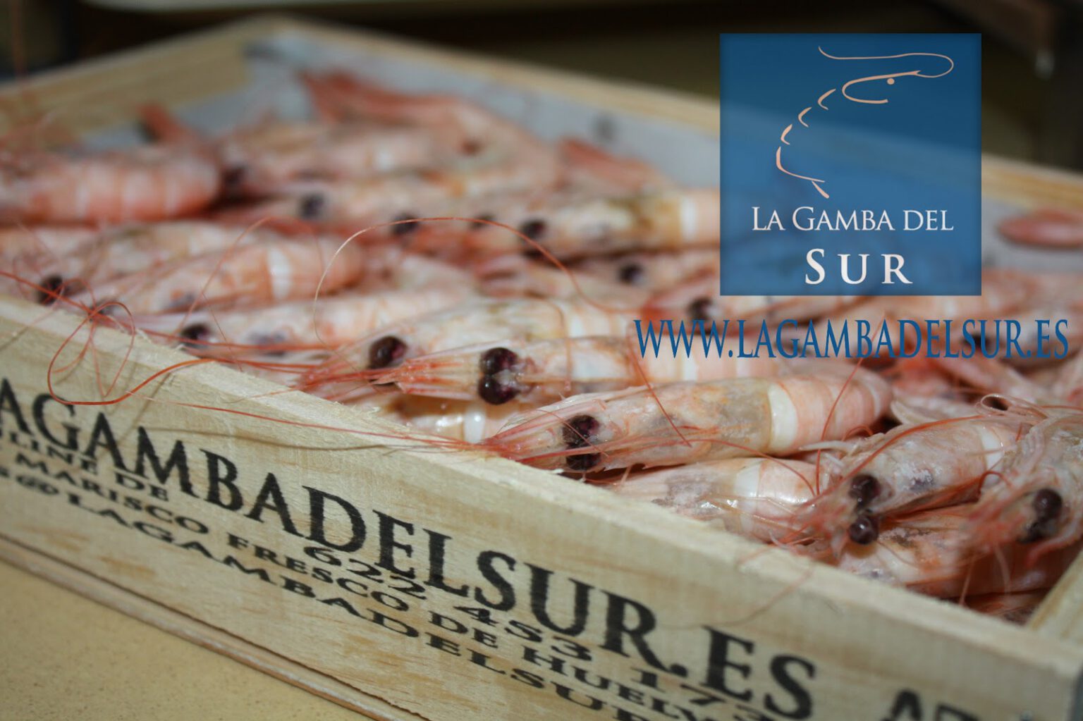 Gambas Blancas de Huelva » La Gamba Del Sur